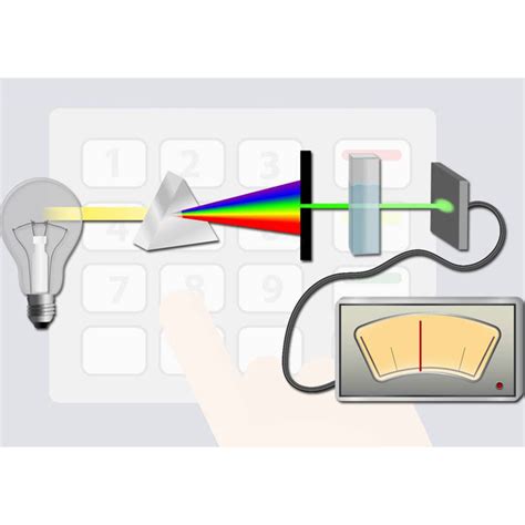 Virtual Lab On Spectrophotometry Understanding The Beer Lambert Law Through Absorbance