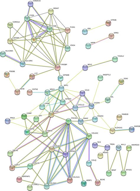 Results Of Ppi Network Analysis Of Degs The Balls Represent The Gene