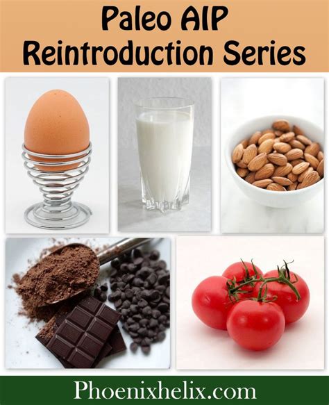 Paleo Aip Reintroduction Series Autoimmune Paleo Recipes Paleo Paleo Recipes