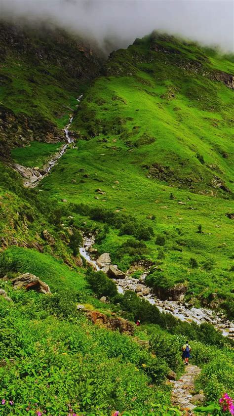 Meet Soborno Isaac Bari 12 Year Old Prodigy Set To Join New York