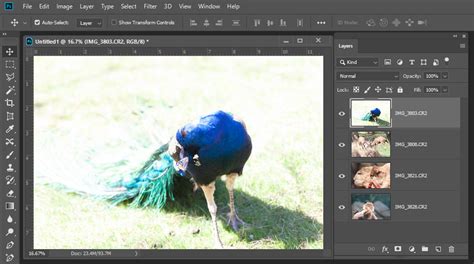 Issues With Load Files Into Stack Adobe Community 10638871