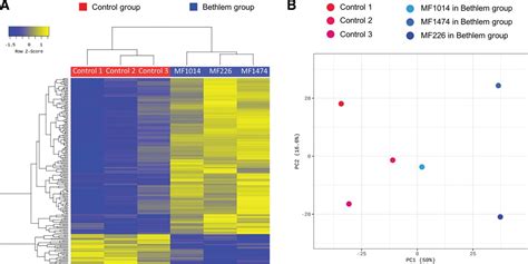 Transcriptome Profiling Of Skeletal Muscles From Korean Pati Medicine