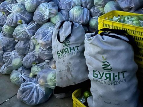 Үер усны гамшигт өртсөн хүүхдүүдэд туслах зорилгоор Дэм дэмэндээ хандивын аяныг хэрэгжүүллээ