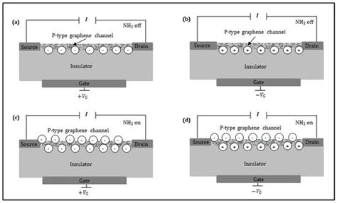 A Review On Functionalized Graphene Sensors For Detection Of Ammonia