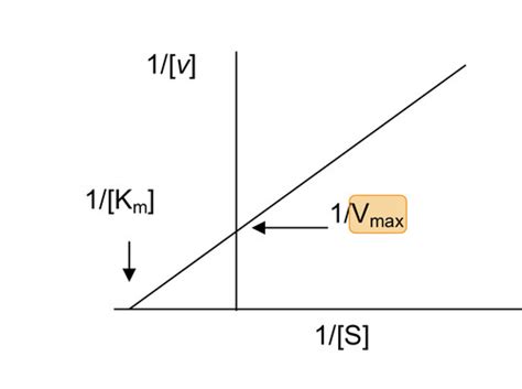 Medi3006 Enzyme Kinetics Flashcards Quizlet