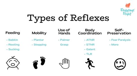 Living In Fear How A Retained Fear Paralysis Reflex Can Lead To A