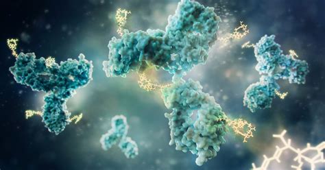 Up The Game For Adc Analysis Bioprocess International