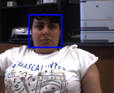 Template Matching Outputs 3 Feature Extraction And Classification The