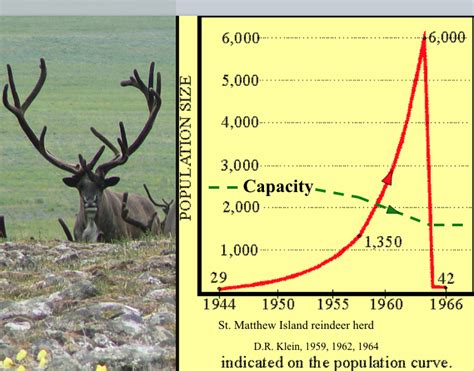 Reality 101 Overshoot Cortes Currents