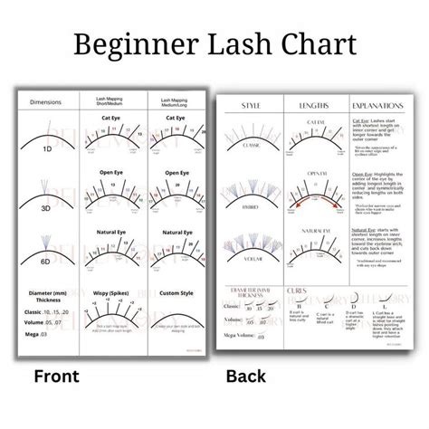 Beginner Lash Map Laminated Chart Eye Shape Chart Shape Chart Lashes