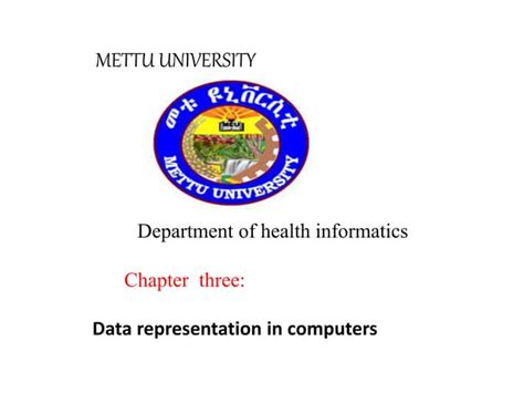 Data Representation Notes Class 11 Pdf Computing Technology