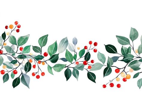 Drawing Holly Border Illustration Natural Free Photo Illustration