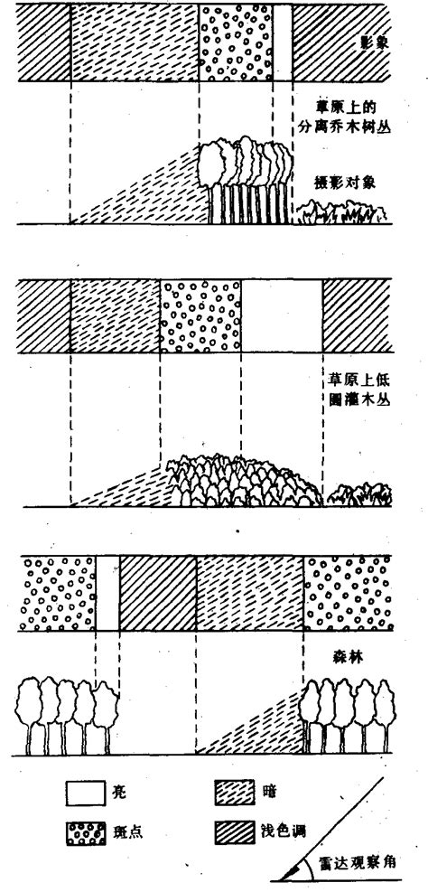 森林微波遥感 农业百科 百科知识