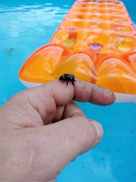 Vuile Handen Ik Weet Het Thomas Vanderlinden