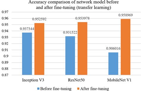 Comparison Of The Network Before And After Fine Tuning Download