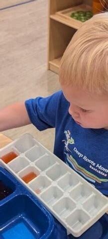 Deep Roots Montessori Pre School And Day Care In Anna And Melissa Texas