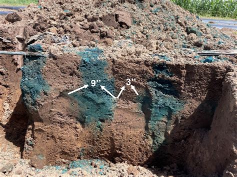 Understanding Wetting Patterns In Drip Irrigation Purdue University Vegetable Crops Hotline