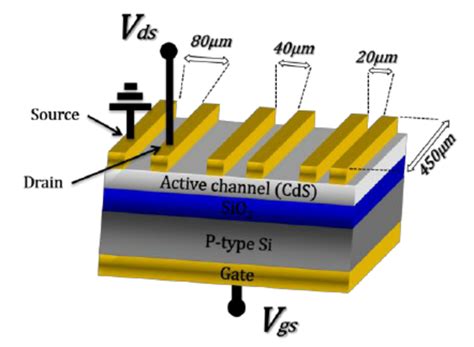 Schematic Cross Section Of The Bottom Common Gate Cds Based Tft Download Scientific Diagram