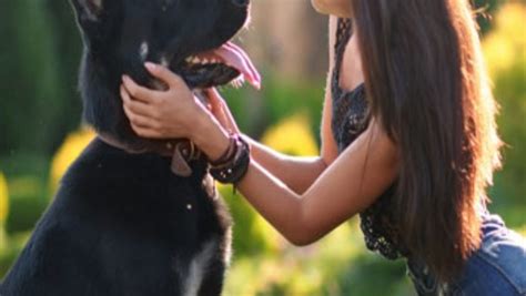 الجنس مع الكلاب بالخميسات الوكيل العام بالرباط ينفي تورط ابن مسؤول