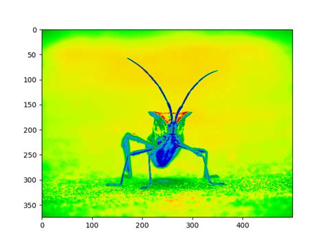 Image Tutorial Matplotlib Documentation