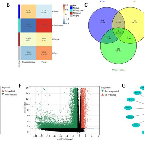 tcga database data analysis results and cerna network a b wgcna of