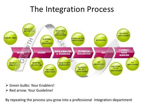 It Integration Managing The Integration Process