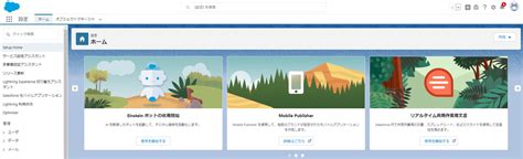 【salesforce】developer Editionに登録して無料で開発環境を使う方法 3流なseのメモ帳