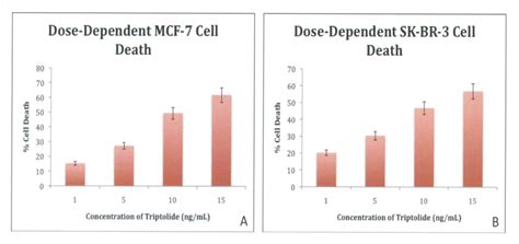 Figure 4 From The Effects Of Triptolide On Cancer Cells The Effects Of