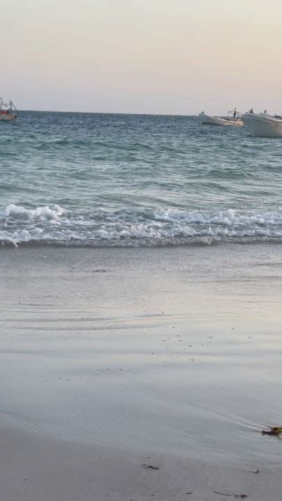 Adan Farah On Linkedin Video Liidobeach