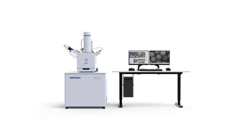 Scanning Electron Microscopes For Sale At Annie Burress Blog