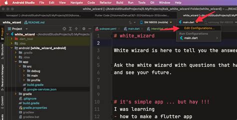 Flutter Could Not Find An Option Named No Sound Null Safety Stack Overflow