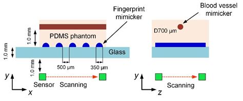 How Does Fingerprint Scanner Work Types Of Fingerprint Scanners