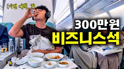 12시간 동안 끊임없이 먹고 즐기는 대한항공 비즈니스석 후기계획 4가지 뉴질랜드19 Youtube