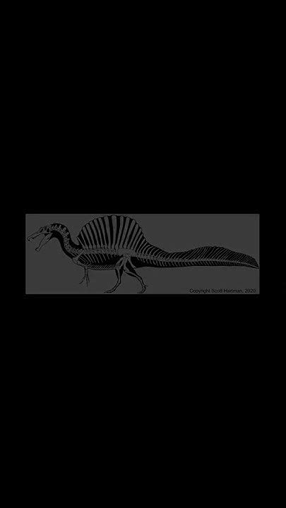 Using Komodo Dragon And Basilisk Lizard To Make Spinosaurus Inspiration