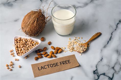 비 유제품 우유와 우유 유리의 다른 유형 성분 유기농 대체 채식에 대 한 대체 유 당 무료 우유 유형 유 당 불포함 음료 코코넛 귀리 콩 아몬드 0명에 대한 스톡 사진 및