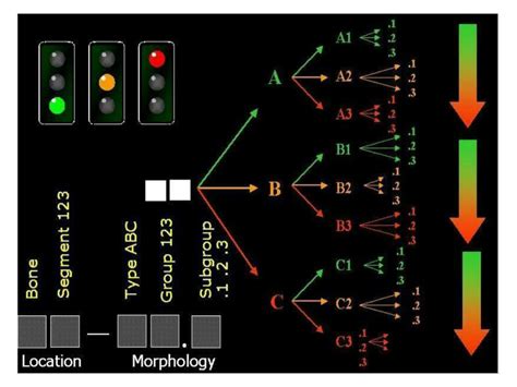 SOLUTION Ao Classification Of Fractures With Illustration Studypool
