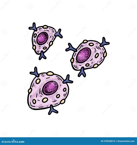 Mast Cell Isolated On White Background Hand Drawn Scientific Microbiology Vector Illustration