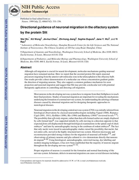 Pdf Directional Guidance Of Neuronal Migration In The Olfactory System By The Protein Slit