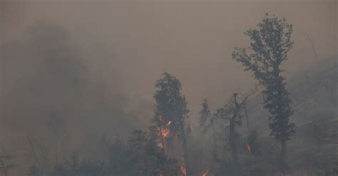 ვაშლოვანის სახელმწიფო ნაკრძალის ტერიტორიაზე ხანძარია