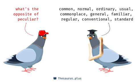 Peculiar Synonyms And Peculiar Antonyms Similar And Opposite Words For