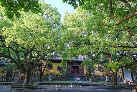 净慈寺拥有济公、南屏晚钟两大ip，名气却不及灵隐寺，不懂！西湖古寺寺庙