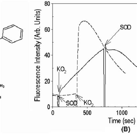 A Structure Of The Fluorogenic Spin Trap Agent Proxyl Fluorescamine