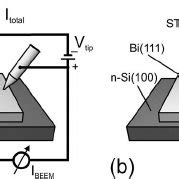 Scheme Of The Experiment A BEEM The Bias Voltage Is Applied To The Download Scientific