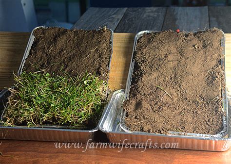Soil Erosion Science Experiment The Farmwife Crafts