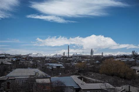 Свежо Пикабу