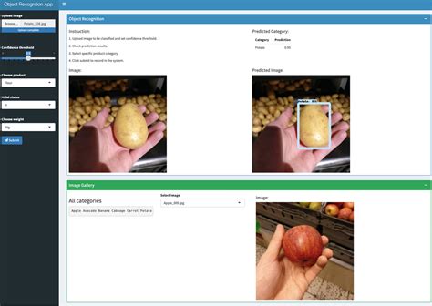 Building A Deep Learning Based Object Detection App Using R Shiny And