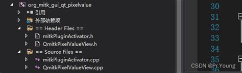 头文件header File和源文件 Source Fileheader File 和source File Csdn博客