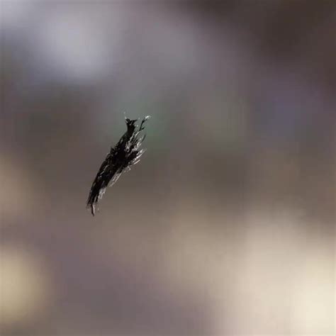 Video Theodore Mckenzie On Linkedin Blender Blender3d B3d Blendercommunity Blenderart