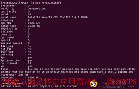 如何测试vps的cpu性能 确保满足应用需求的评估指南 Vps测评推荐 淘客vps