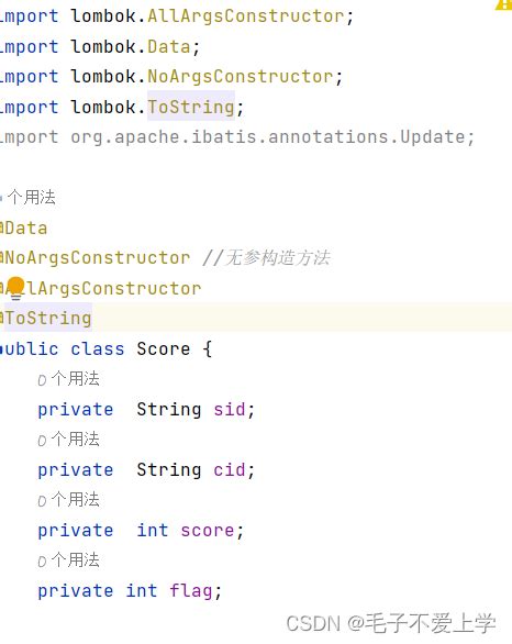 Idae添加插件lomok 快速在pojo层写getset方法构造方法等idea插件把pojo的get与set方法 Csdn博客